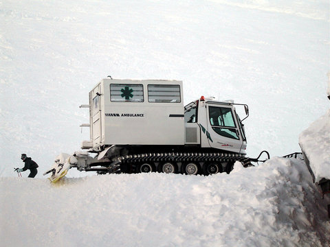 Chenillette Images – Browse 48 Stock Photos, Vectors, and Video | Adobe ...