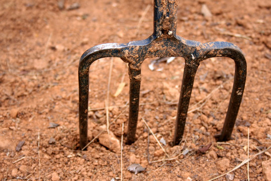 Forken Bilder – Durchsuchen 233 Archivfotos, Vektorgrafiken und Videos ...