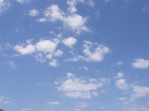 Blue(Bruise) Bilder – Durchsuchen 3,632 Archivfotos, Vektorgrafiken und ...