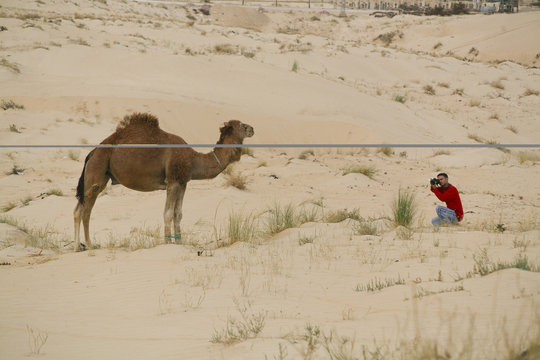 Loufa bilder – Bläddra bland 384 stockfoton, vektorer och videor ...