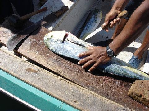 「Poissonnier」の写真素材 | 4,730件の無料イラスト画像 | Adobe Stock