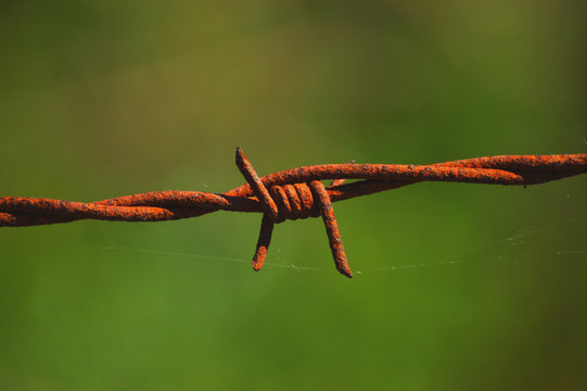 Imágenes de Maroder: descubre bancos de fotos, ilustraciones, vectores ...