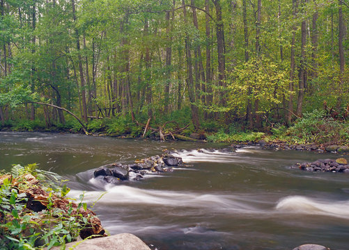 "Wolf River" Images – Browse 267 Stock Photos, Vectors, and Video ...