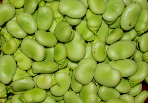 Imágenes de Fave: descubre bancos de fotos, ilustraciones, vectores y ...