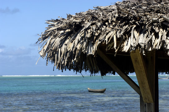 「Paillotte」の画像 - 205 件の Stock 写真、ベクターおよびビデオ | Adobe Stock