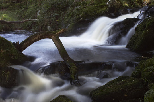 「Afon」の写真素材 | 1,604件の無料イラスト画像 | Adobe Stock