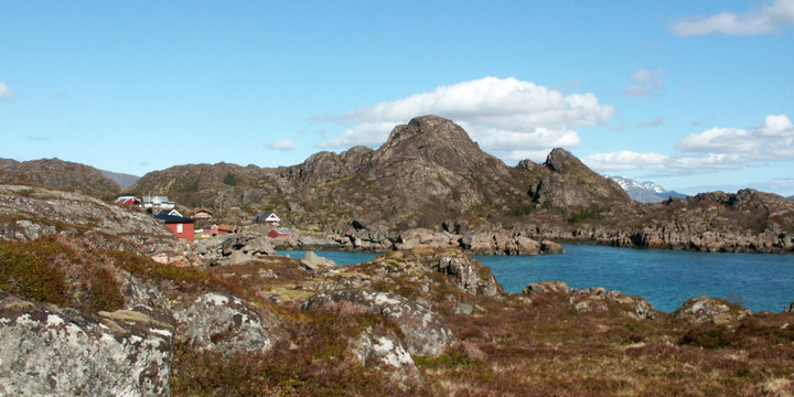 Kropfbildung Bilder – Durchsuchen 193 Archivfotos, Vektorgrafiken und ...