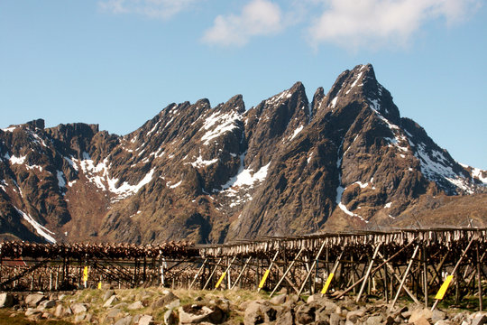 Kropfbildung Bilder – Durchsuchen 146 Archivfotos, Vektorgrafiken und ...