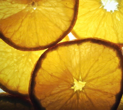 Citronada Images – Browse 18 Stock Photos, Vectors, and Video | Adobe Stock