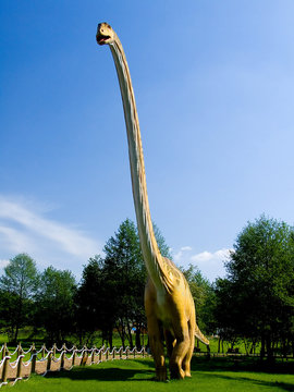 รูปภาพDiplodok – เลือกดูภาพถ่ายสต็อก เวกเตอร์ และวิดีโอ11 | Adobe Stock