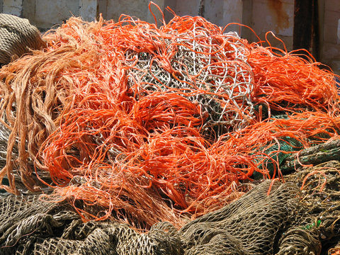 Reti Images – Browse 2,422 Stock Photos, Vectors, and Video | Adobe Stock