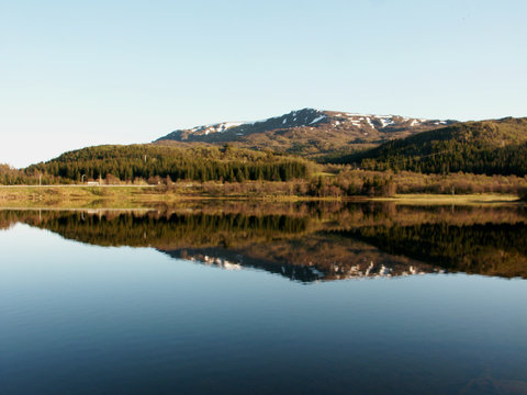Kropfbildung Bilder – Durchsuchen 193 Archivfotos, Vektorgrafiken und ...
