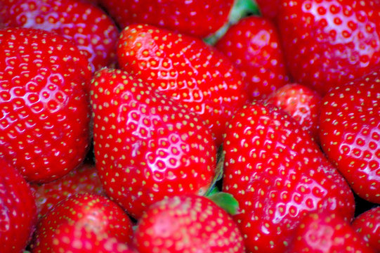 Fresitas Images – Browse 17 Stock Photos, Vectors, and Video | Adobe Stock