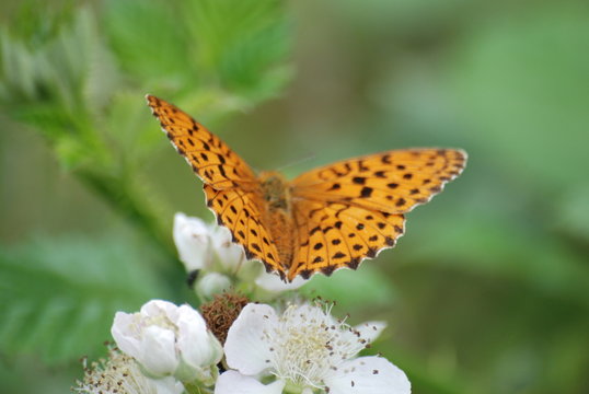 Imágenes de Dddssd: descubre bancos de fotos, ilustraciones, vectores y ...