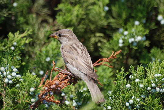 Gfgffg Images – Browse 8 Stock Photos, Vectors, and Video | Adobe Stock