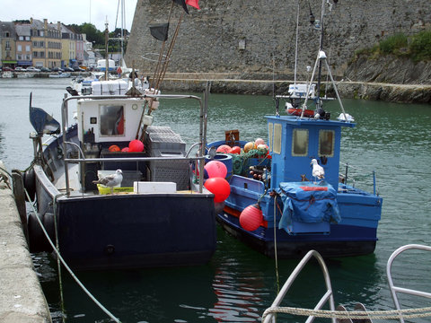 Crevettier bilder – Bläddra bland 83 stockfoton, vektorer och videor ...