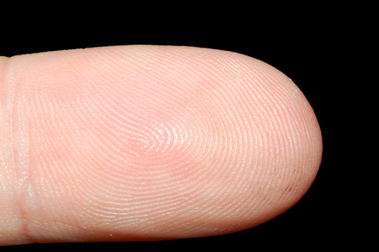 Fingerbreadth Bilder – Durchsuchen 169,530 Archivfotos, Vektorgrafiken ...