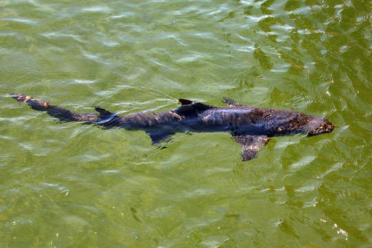 Kimen Images – Browse 38 Stock Photos, Vectors, and Video | Adobe Stock