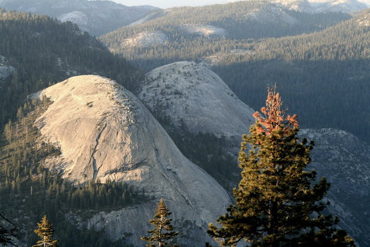 Broderick Images – Browse 30 Stock Photos, Vectors, and Video | Adobe Stock