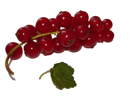 Groseilles Images – Browse 1,427 Stock Photos, Vectors, and Video ...