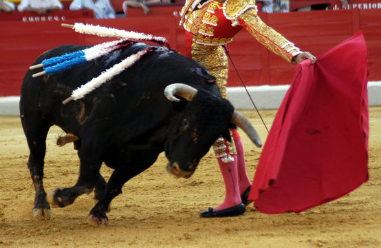 Toreros bilder – Bläddra bland 297 stockfoton, vektorer och videor ...