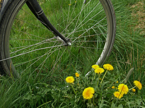 "Rad Images – Parcourir 97,346 le catalogue de photos, vecteurs et vidéos | Adobe Stock