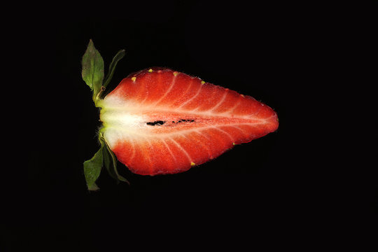 Imágenes de "Fragola: descubre bancos de fotos, ilustraciones, vectores ...