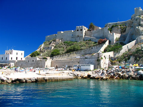 Tremity Images – Browse 38 Stock Photos, Vectors, and Video | Adobe Stock