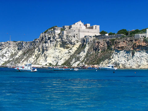 Tremity Images – Browse 38 Stock Photos, Vectors, and Video | Adobe Stock