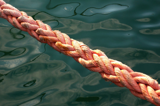 รูปภาพPleach – เลือกดูภาพถ่ายสต็อก เวกเตอร์ และวิดีโอ11,040 | Adobe Stock