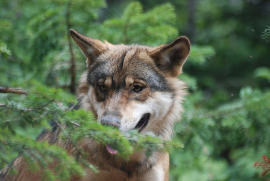 Xcxcxcx - Images et vidéos libres de droits | Adobe Stock