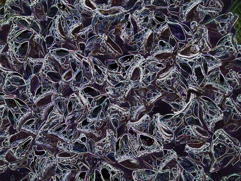 Wireline Images – Browse 577 Stock Photos, Vectors, and Video | Adobe Stock