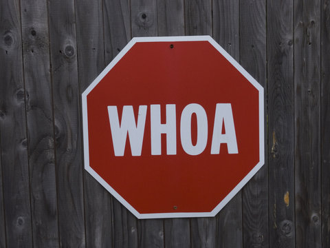 「Whoa」の写真素材 | 251件の無料イラスト画像 | Adobe Stock