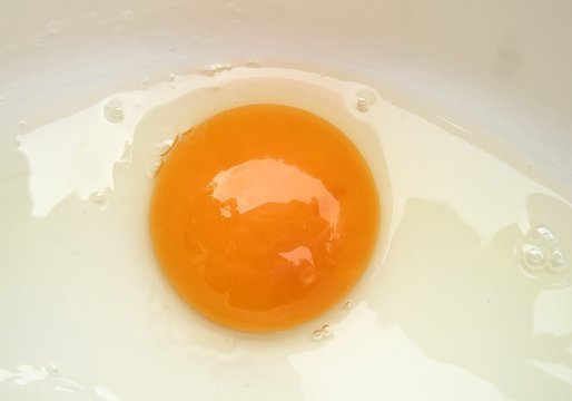 Eiklar bilder – Bläddra bland 469 stockfoton, vektorer och videor ...