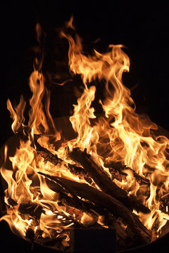 รูปภาพFeu – เลือกดูภาพถ่ายสต็อก เวกเตอร์ และวิดีโอ39,853 | Adobe Stock