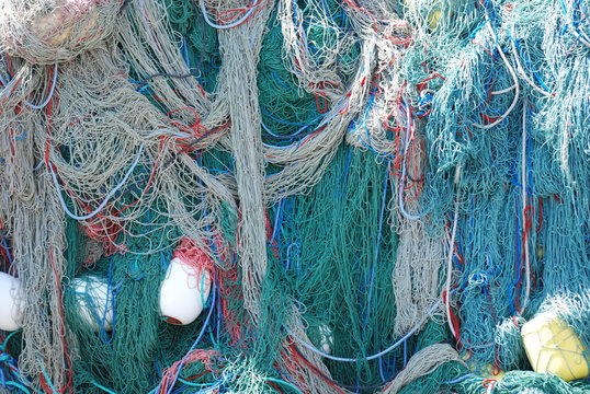 Jkhkj Images – Browse 1 Stock Photos, Vectors, and Video | Adobe Stock