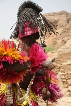 Cauris Images – Browse 37 Stock Photos, Vectors, and Video | Adobe Stock