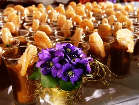 Shirp Images – Browse 6 Stock Photos, Vectors, and Video | Adobe Stock