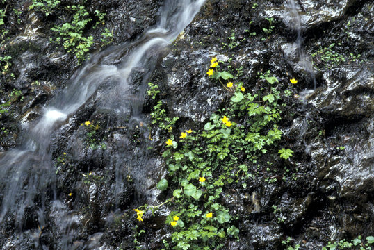 Wasserquelle bilder – Bläddra bland 826 stockfoton, vektorer och videor ...