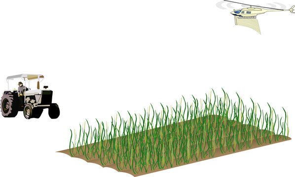 Souiller bilder – Bläddra bland 540 stockfoton, vektorer och videor ...