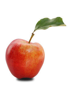 รูปภาพApfel – เลือกดูภาพถ่ายสต็อก เวกเตอร์ และวิดีโอ99,499 | Adobe Stock