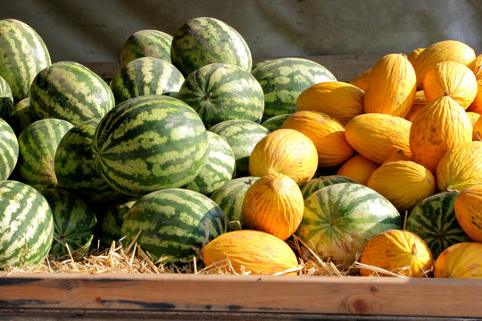 「Melonen」の画像 - 1,738 件の Stock 写真、ベクターおよびビデオ | Adobe Stock