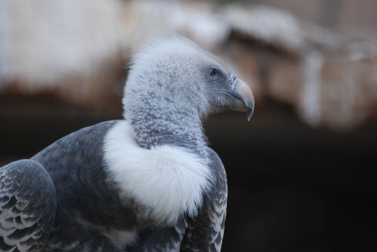 Sdffds Images – Browse 1 Stock Photos, Vectors, and Video | Adobe Stock