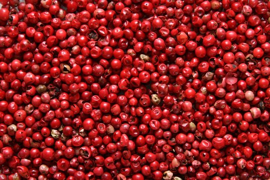 "Roter Pfeffer" Images – Parcourir 681 le catalogue de photos, vecteurs ...