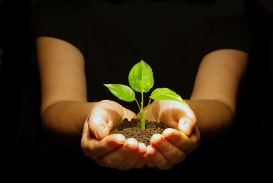 Haute-Definition Bilder – Durchsuchen 2,624 Archivfotos, Vektorgrafiken ...