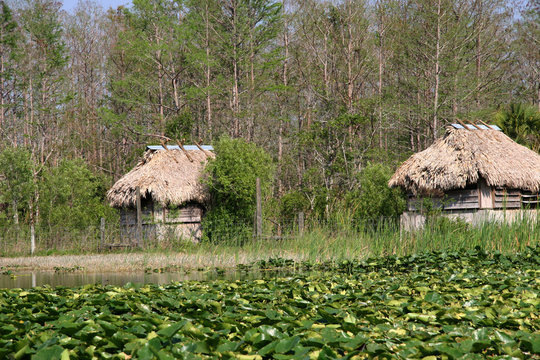 Bohio Images – Browse 54 Stock Photos, Vectors, and Video | Adobe Stock