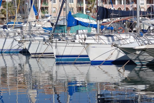 Ghfghf Images – Browse 1 Stock Photos, Vectors, and Video | Adobe Stock