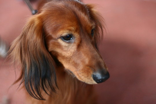 รูปภาพTaksa – เลือกดูภาพถ่ายสต็อก เวกเตอร์ และวิดีโอ123 | Adobe Stock