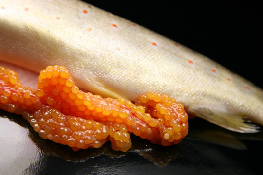 Fischflossenstruktur