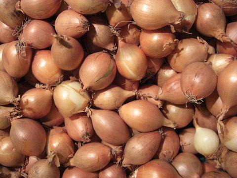 Schalotte Images – Browse 916 Stock Photos, Vectors, and Video | Adobe ...